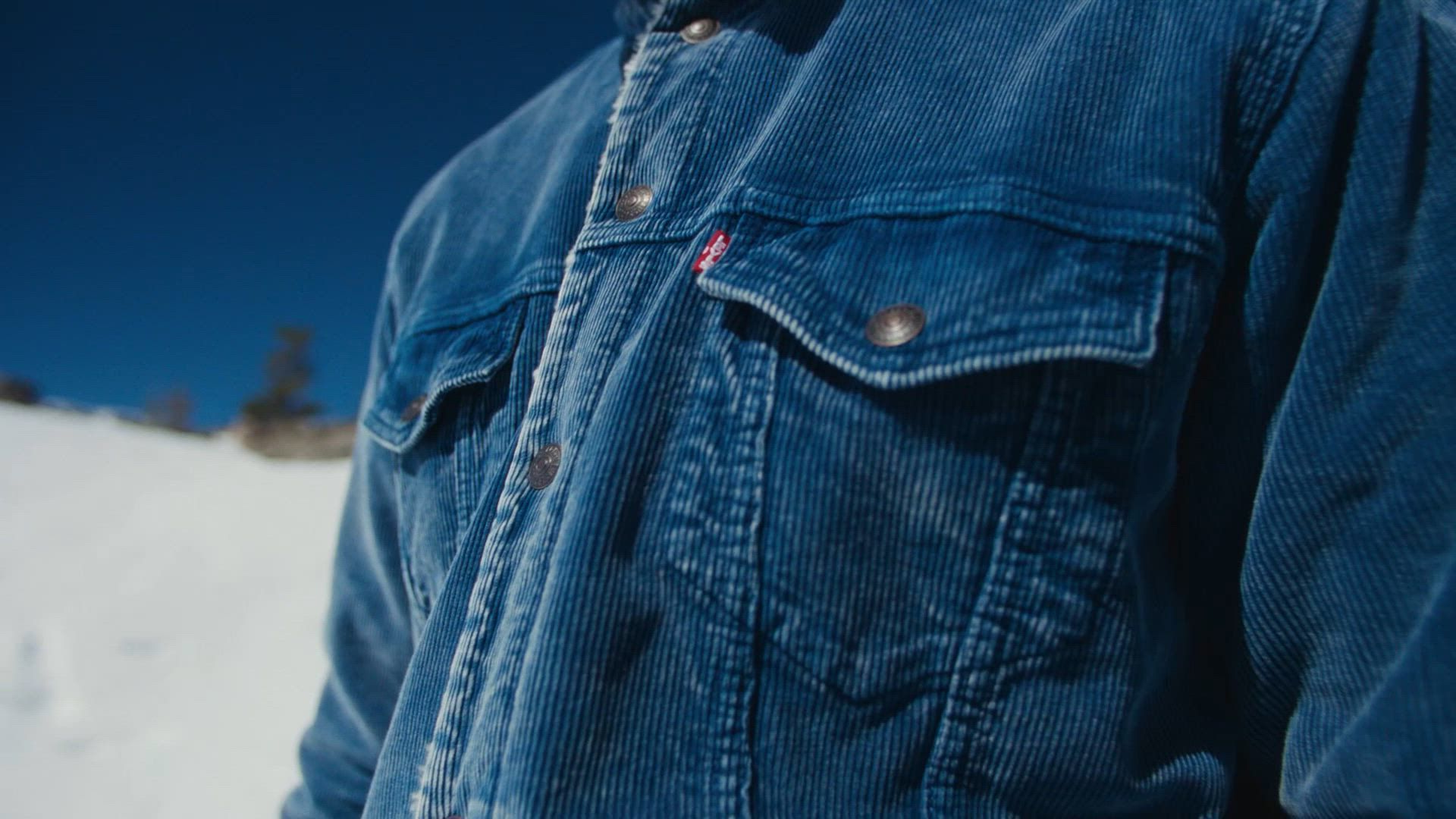 Women's Clothing New Arrivals | Levi's® US