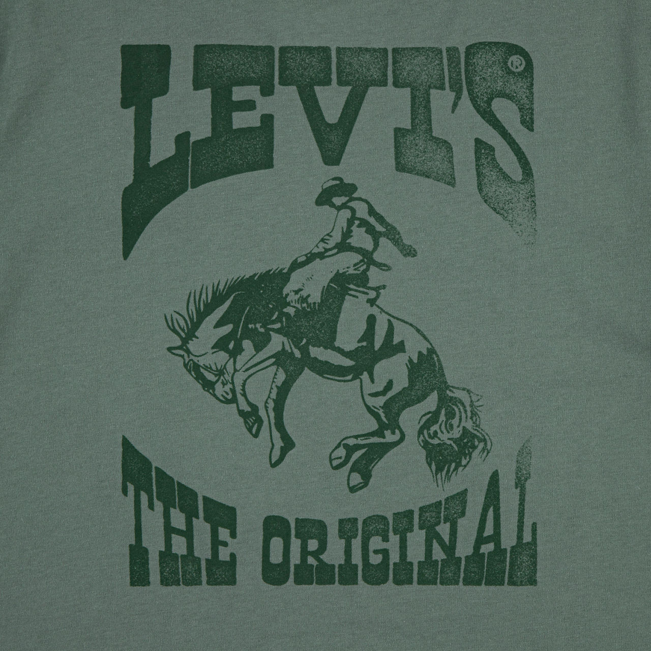 Rodeo Ready Tee Big Boys S-xl - Green | Levi's® US