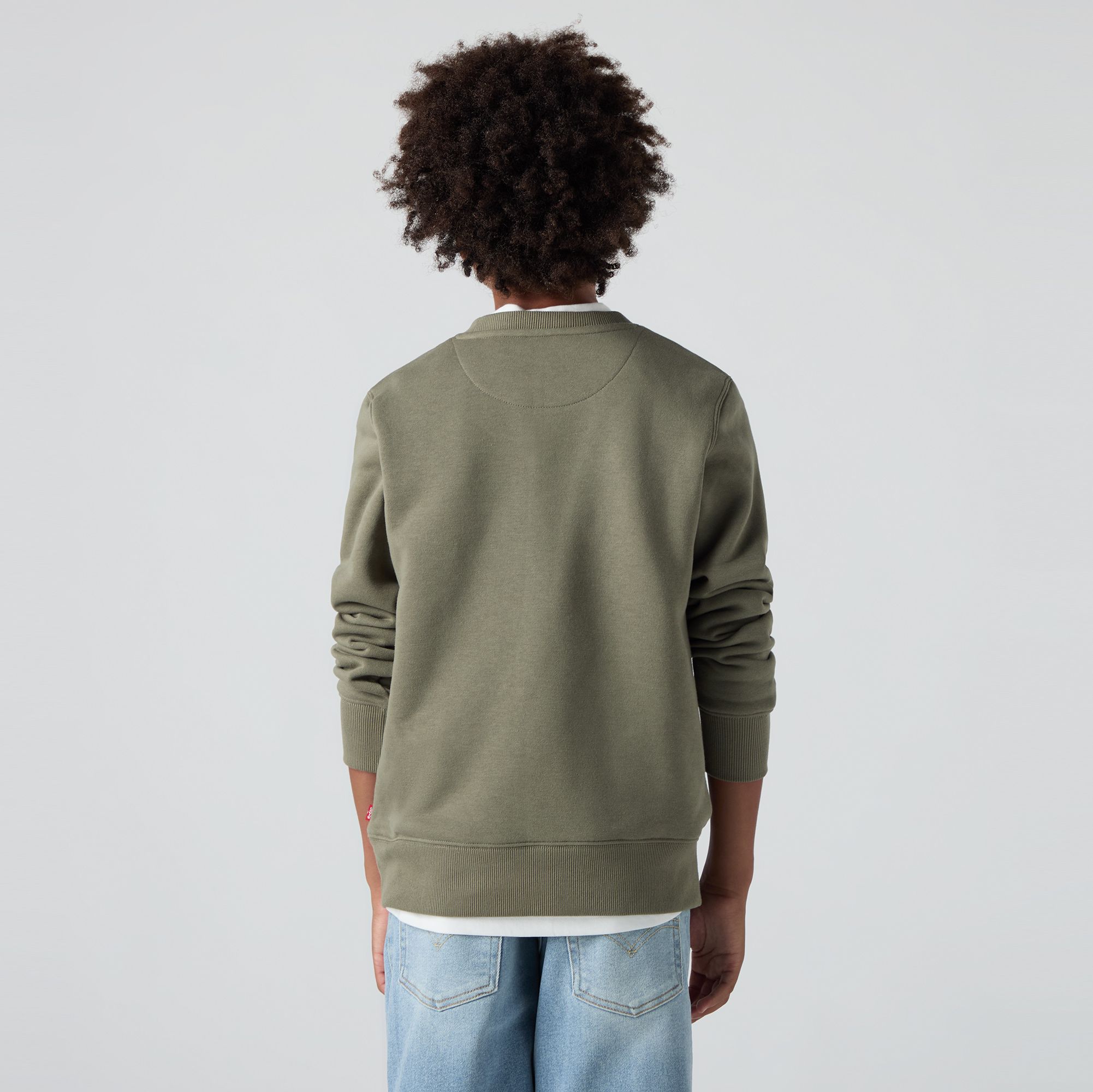 Teenager Mini Logo Crewneck Sweatshirt - Green | Levi's® GB