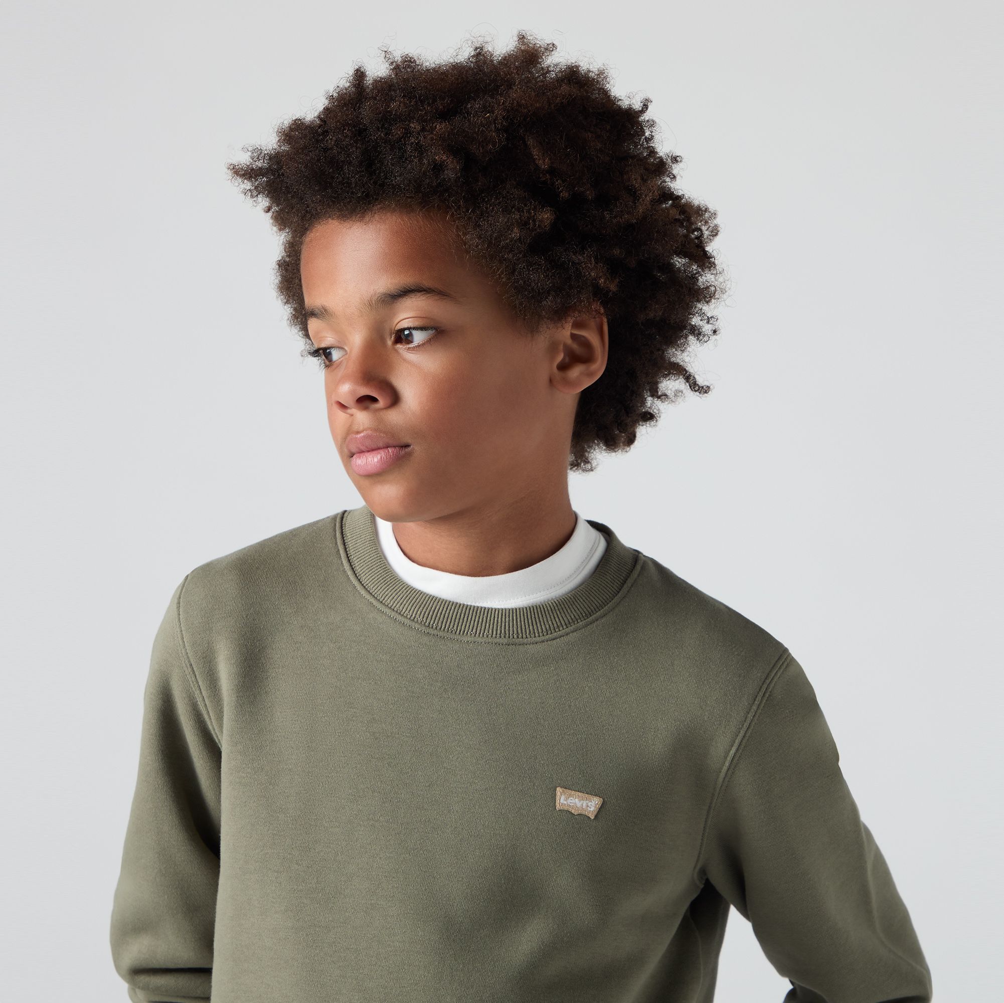Teenager Mini Logo Crewneck Sweatshirt - Green | Levi's® IE