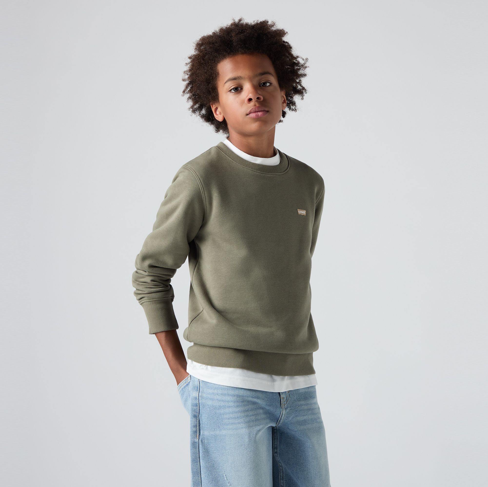Teenager Mini Logo Crewneck Sweatshirt - Green | Levi's® GB