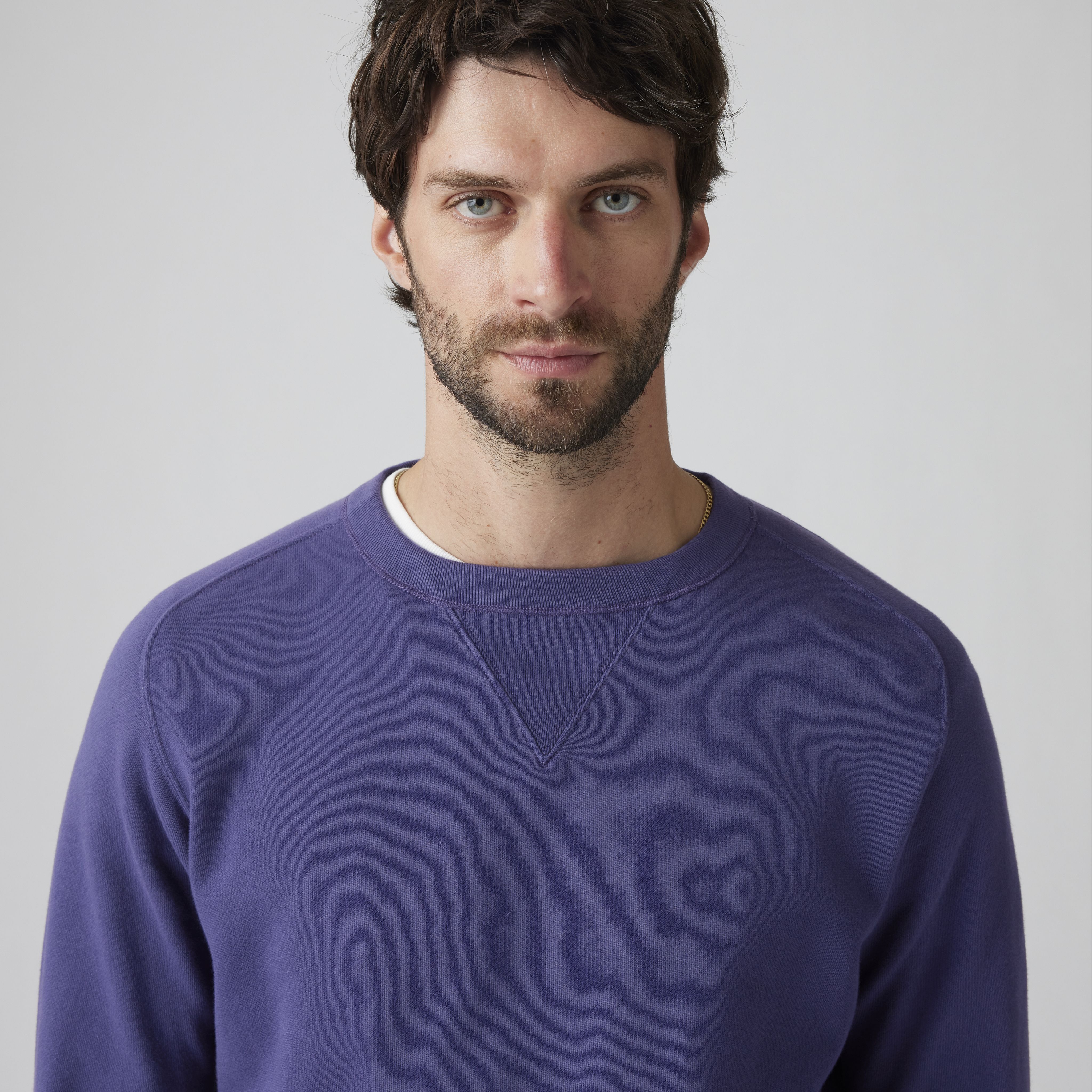 Bay Meadows Sweatshirt - Blue | Levi's® US