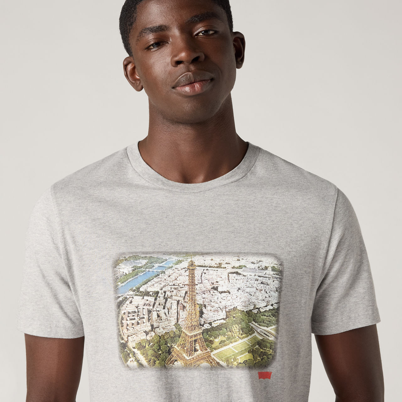 Classic Graphic T-shirt - Gris | Levi's® ES