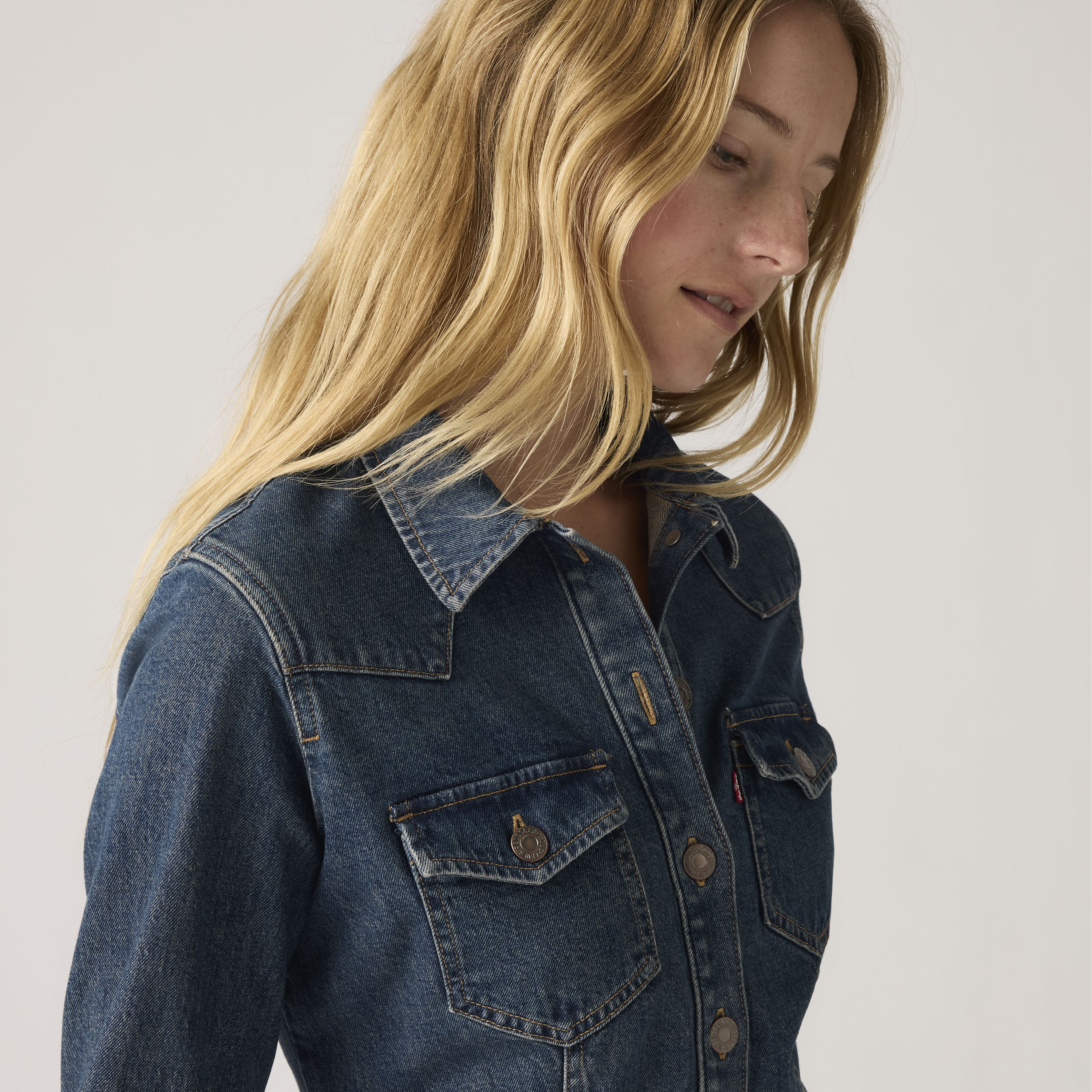 Flynn Western Dress - Blue | Levi's® RS